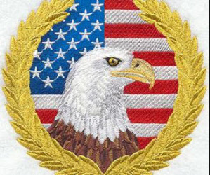 Eagle Patch Big Spread Eagle Patch