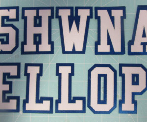 Order Loose Twill Numbers -Pro Block