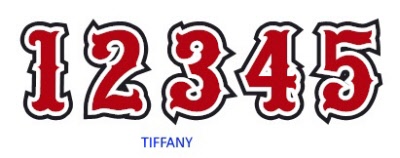 Order Loose Twill Numbers - 3 Colors